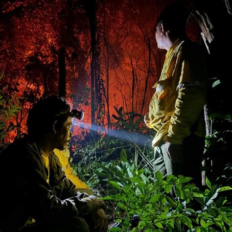 8 Conservation Projects In The Amazon To Support In 2025 Planetaexo