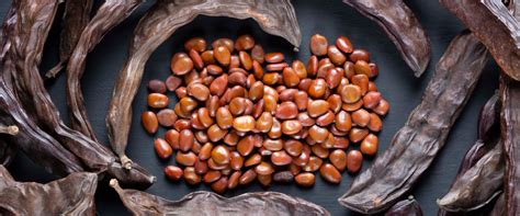 Carrube Proprietà E Benefici Per Dimagrire Santagostino Magazine