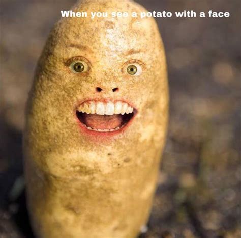 Potato Skin Memes