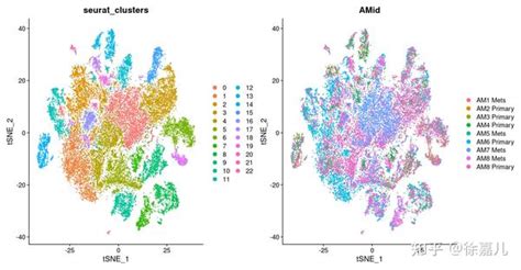 由于复现时t SNE图与原文不像而引起的反思 知乎