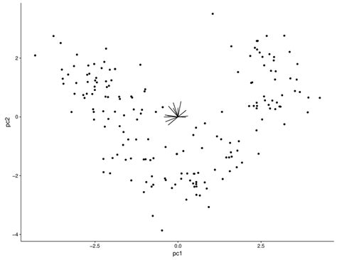 R When Plotting Pca Analysis With Loadings On Top Loading Arrows