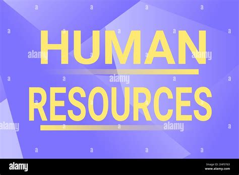 Text Caption Presenting Human Resources Business Overview The Showing Who Make Up The Workforce