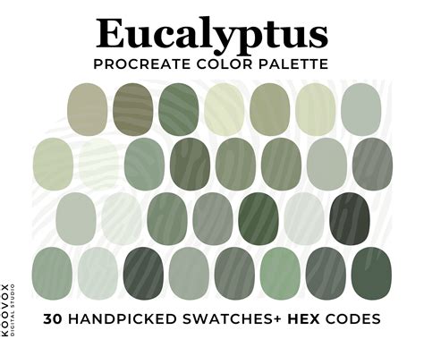 Eucalyptus Green Color Palette For Procreate Procreate Swatches Eucalyptus Color Palette Hex