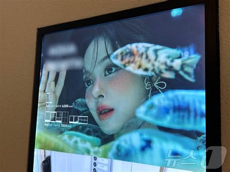 1시간 대기 기본 어항 무인사진관물고기 배경 인생샷의 이면 뉴스1