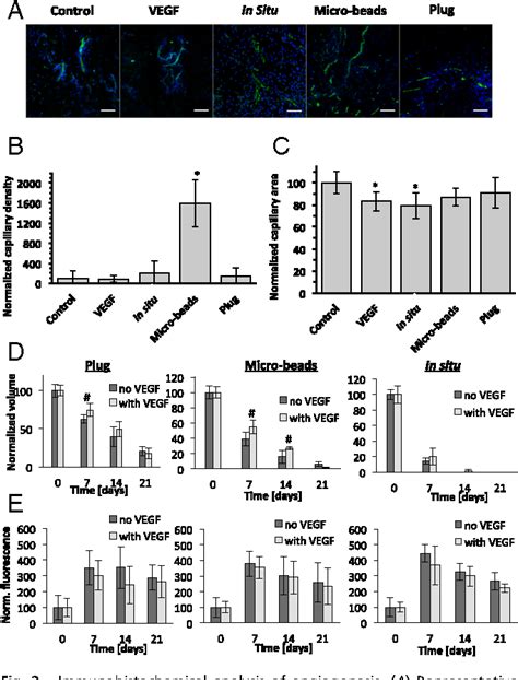 Figure 3 From Using Bimodal Mrifluorescence Imaging To Identify Host Angiogenic Response To