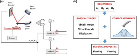Light Induced Modulation Of Viscoelastic Properties In Azobenzene Polymers Abstract Europe Pmc