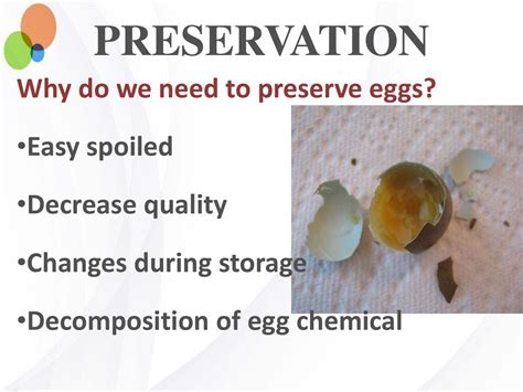 Preservation Methods Of Fish Preservation Methods Of Fish By Food