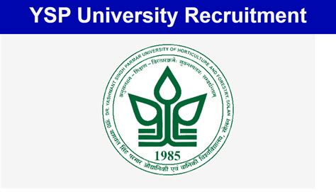 Ysp University 1 Guest Faculty Job Vacancy Apply Walkin