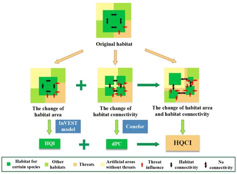 Conceptual View Of The Three Processes In Habitat Loss And Download Scientific Diagram