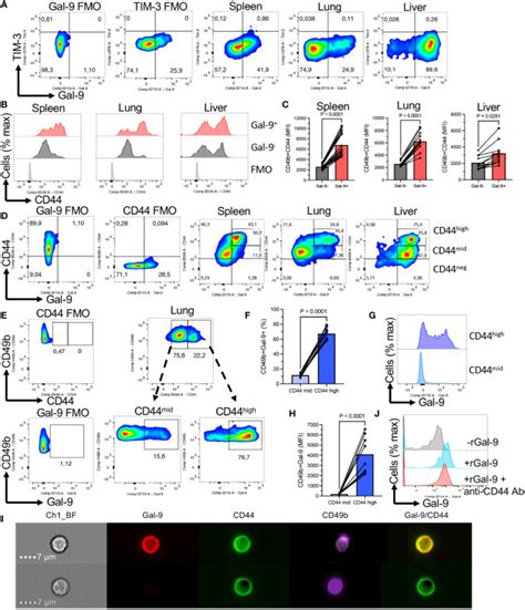 Galectin 9 Promotes Natural Killer Cells Activity Via Interaction With Cd44 Pmc