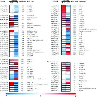 Heat Maps Showing The Expression Patterns Of Pathogenesis Related PR