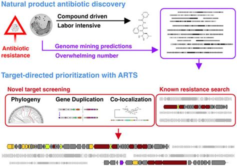 Graphical Abstracts Examples Nucleic Acids Research Oxford Academic