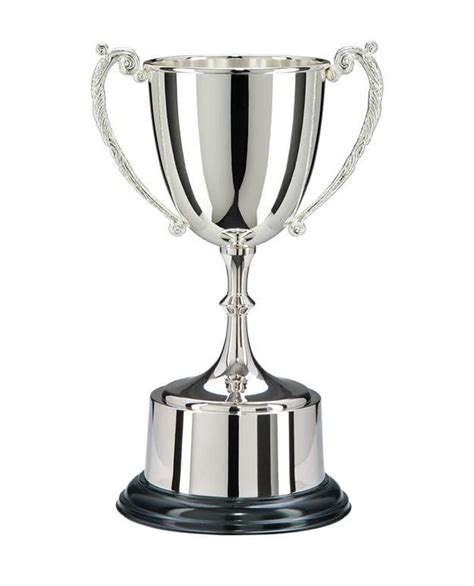 Nickel Plate Trophy Cup Award 250mm Presentation Award Multisports No
