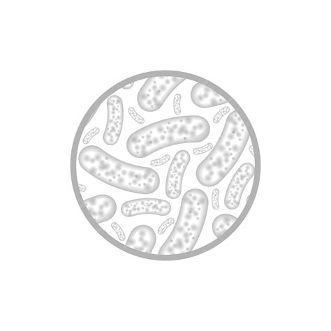Premium Vector Micro Bacterium Gray