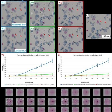 Motion Blur Correction By Blind Deconvolution And Our Dbmid On Tct Download Scientific Diagram