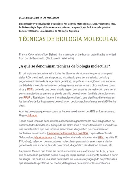 Tecnicas De Biologia Molecular Pdf Southern Blot Northern Blot