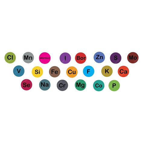 Premium Vector Minerals Microelements And Macro Elements Useful For