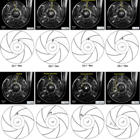 Force Diagram For A Bubble Within A Centrifugal Impeller Download Scientific Diagram