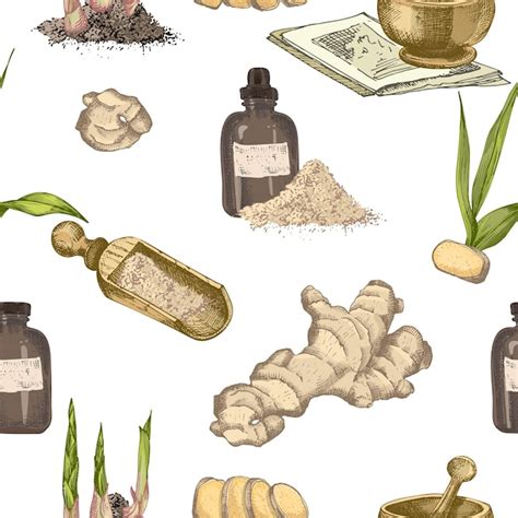 Premium Vector Colorful Seamless Pattern Hand Drawn Of Ginger Roots