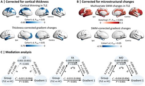Structure Function Relationship A Surface Wide Between Group