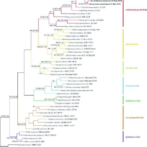 Maximum Parsimony Strict Consensus Tree Illustrating The Phylogeny Of