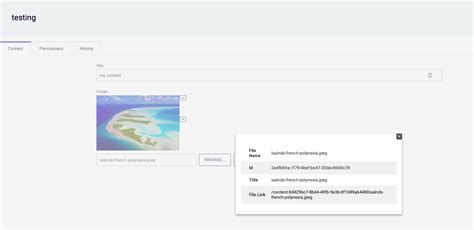 Image Fields Dont Work In Velocity With Dotassets · Issue 22704