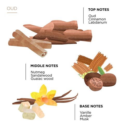 6 Secrets About Oud Scent Côté Bougie