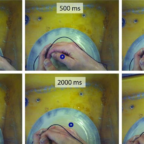 Contents Of Three Step Optical Stylets Curriculum Setup The Curriculum Download Scientific