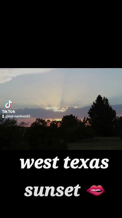 January 19 2024 Youtube