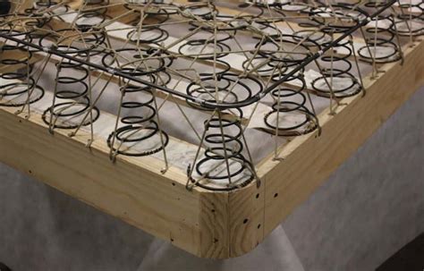 Can Bed Bugs Live And Survive Outside Pestseek