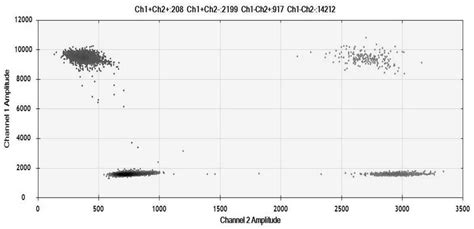 Method And Detection Kit For Detecting Erbb2 Gene Amplification Based