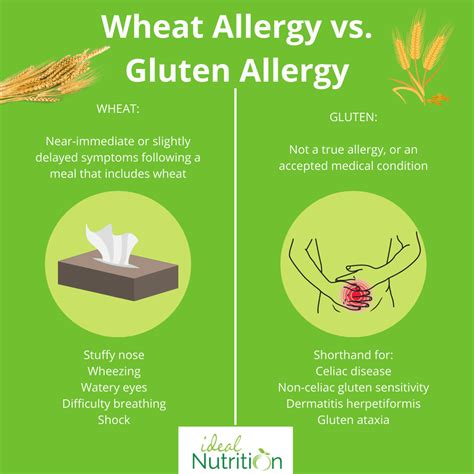 Should I Go Gluten Free Ideal Nutrition