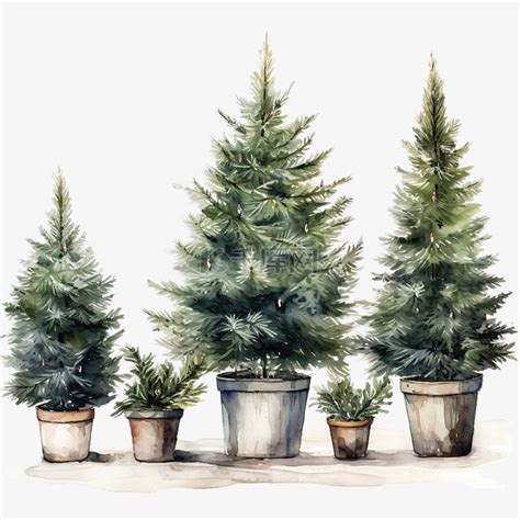 聖誕樹店素材图片免费下载 千库网