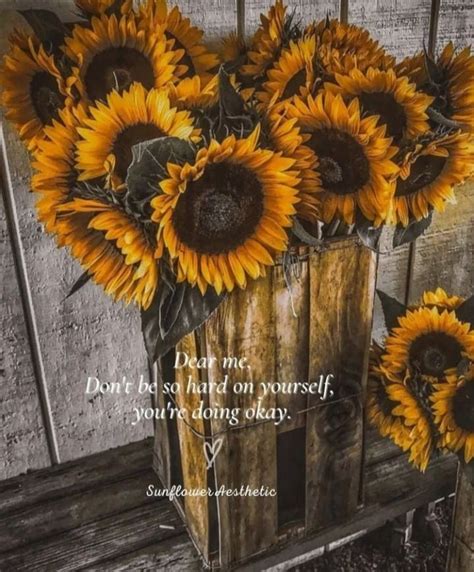 Sunflower Quote Aesthetic Quote Wallpaper Artofit