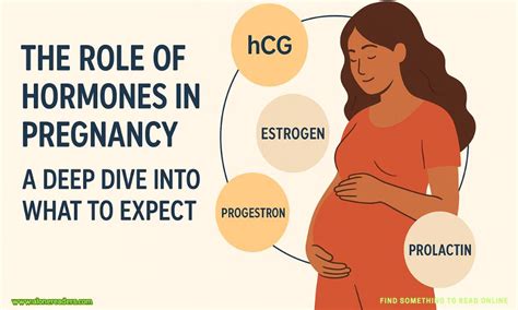 The Role Of Hormones In Pregnancy A Deep Dive Into What To Expect