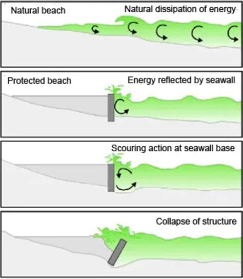 Breaking Up With The Seawall The Tyee