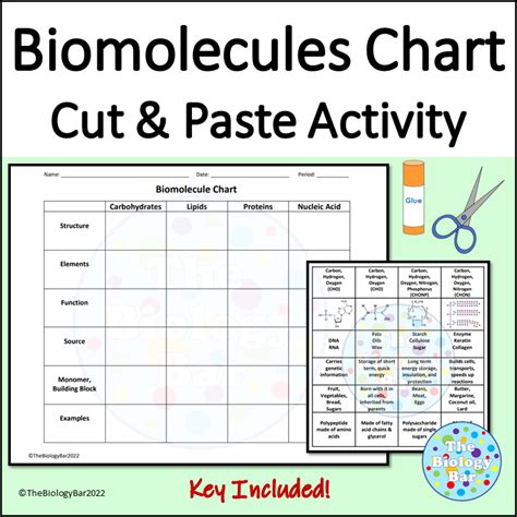 Four Macromolecules Chart
