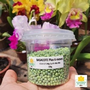 Compre Adubo Para Orquídeas Basacote De Um Up Em Suas Orquídeas