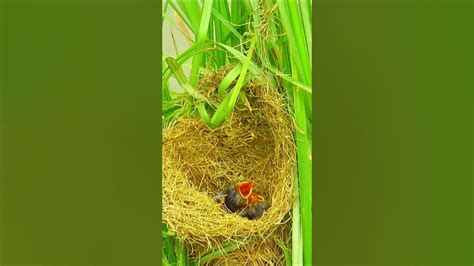 120 Hungry Mom Shot Youtube