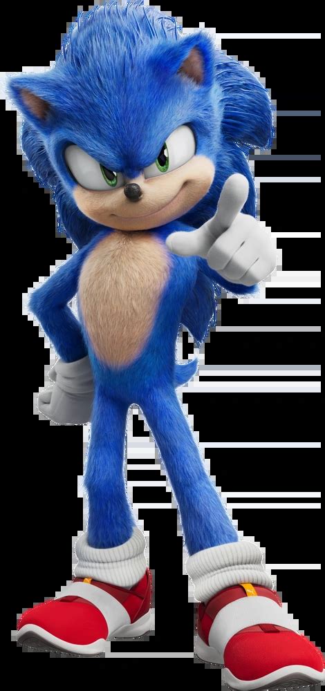 Movie Sonic The Sonic House Wiki Fandom