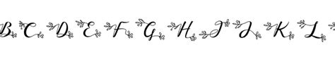 Floral Line Monogram Font What Font Is