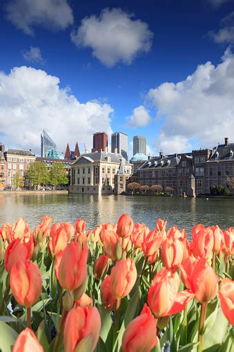 Gedung Parlemen Belanda Di Den Haag Foto Stok Unduh Gambar Sekarang