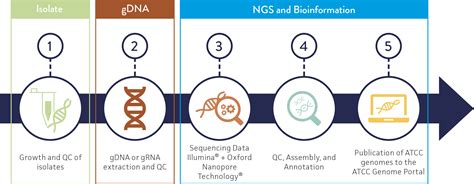 Discover The Atcc Genome Portal Atcc
