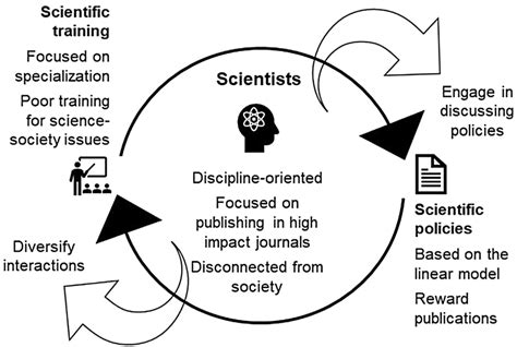 Feedback Loop Caused By Current Scientific Training And Scientific Download Scientific Diagram