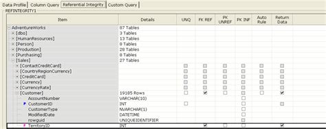 SAP BODS Tutorial Documents Data Insight
