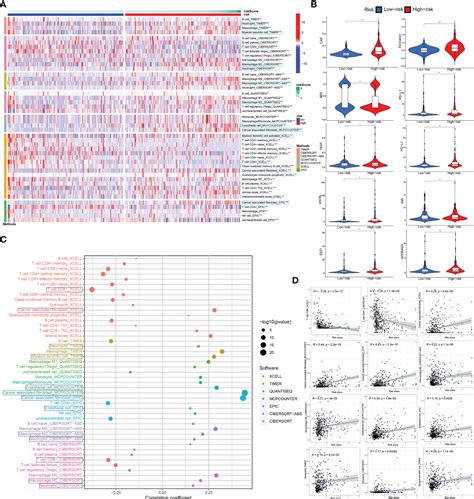 Frontiers Identification Of A Dysregulated Circrna Associated Gene Signature For Predicting