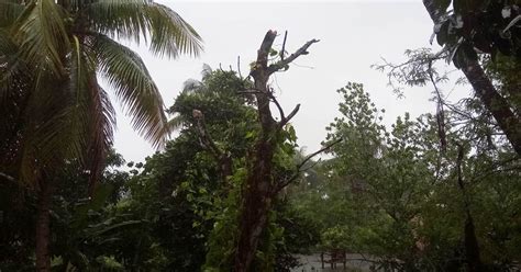 Bhola Needs More Cyclone Shelters As Survivors Recall Horrific Night Of
