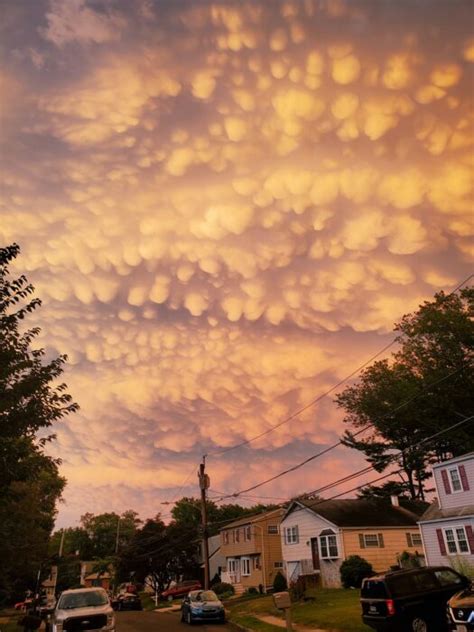 Mamma Cloud Appreciation Society