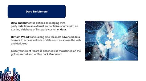 data deduplication and entity resolution birnam wood