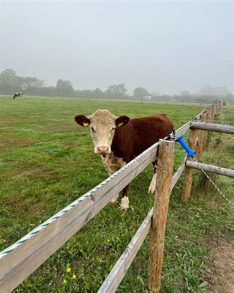Good Morning Winnie Naughty Girls Have Fibre And Fleece